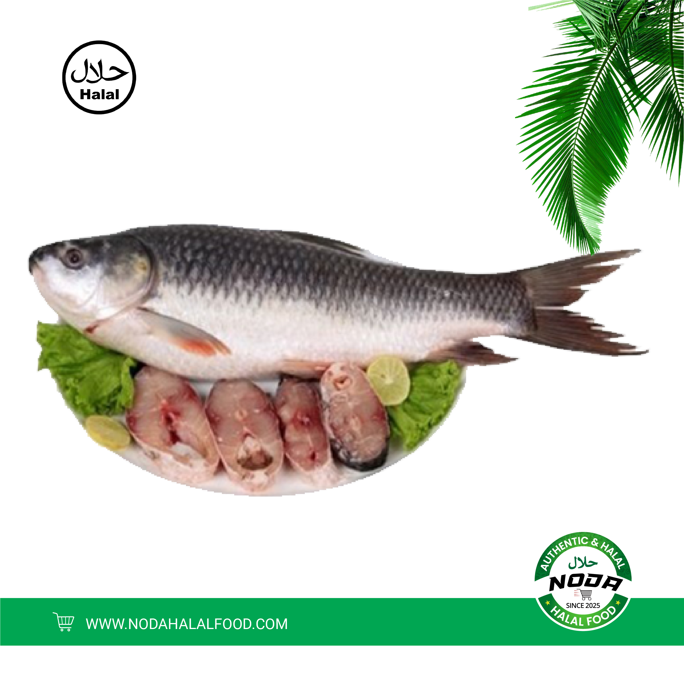 Ruhi Fish 800gm Frozen – Noda Halal Food